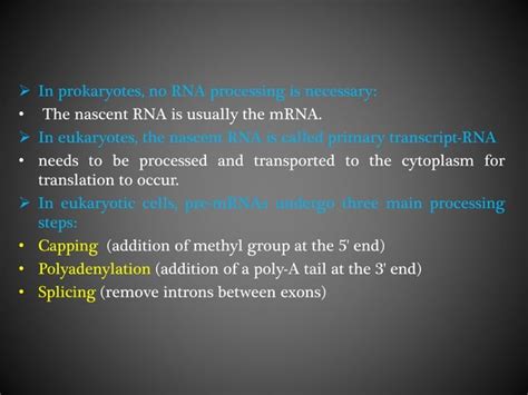 Rna Processing PPTX