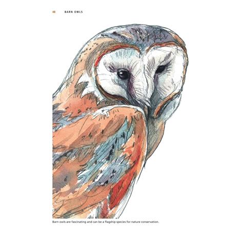 Barn Owls Veldshop