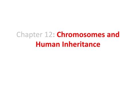 Ppt Chromosomes And Human Inheritance Understanding Genetic Patterns Powerpoint Presentation