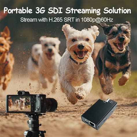 Sdi Encoder 3g Sdi Encoder For Live Streaming With Srt Ddmall