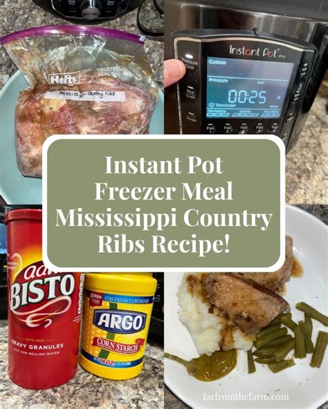 Instant Pot Budget Freezer Meal Mississippi Style Country Ribs Recipe
