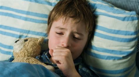 Комисијата за заразни болести прогласи епидемија на магарешка кашлица во Скопје Skopjeinfo Mk