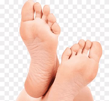 Feet Png Images Pngwing