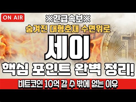[세이 코인분석] 핵심 포인트 완벽 정리