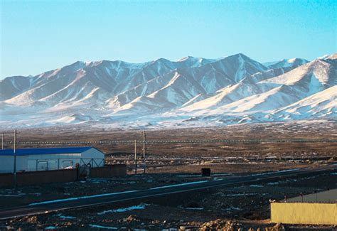 驼奶粉好驼奶喝驼王 驼王官网