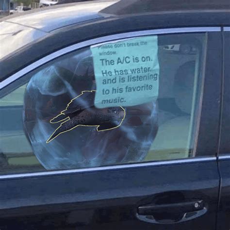 Everything Seems Fine To Me R Wow