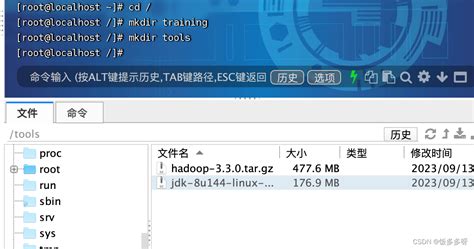 hadoop3 3 0下载安装与配置 csdn博客