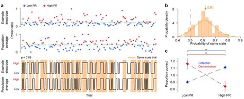 Relationship Between The State Of Neural Activity At Individual Sites