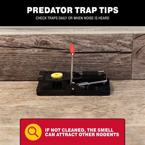 Predator Mouse Snap Trap