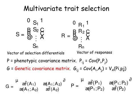 Ppt Constraints On Multivariate Evolution Powerpoint Presentation