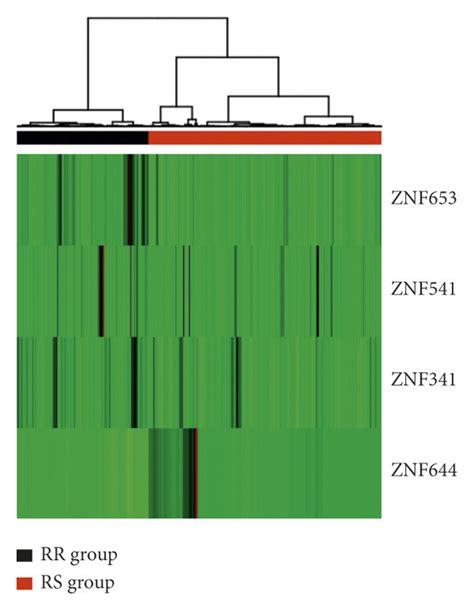 Tcga Data A Correlation Plot Based On Pearsons Correlation Test Download Scientific Diagram