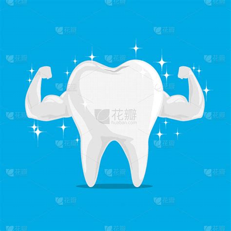 白色 健康保健 力量 人的牙齿 一个物体 人类肌肉 口腔卫生 人 清新 概念
