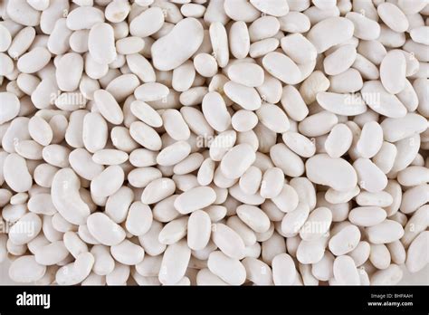 Lentils Isolated On White Background Stock Photo Alamy