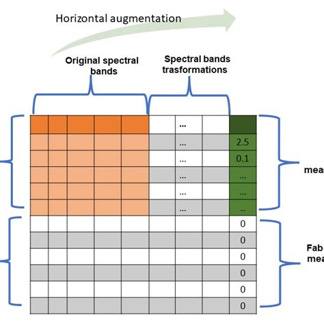 illustration of two axes of augmentation performed on original data set