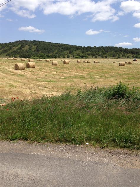 Massif Central Erickson