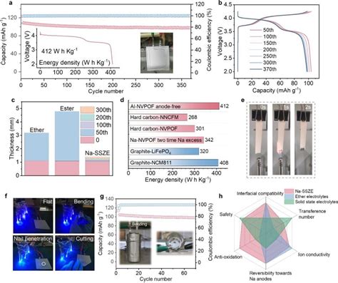 能源科学领域大牛！周豪慎最新am：高压无负极可充电钠电池！