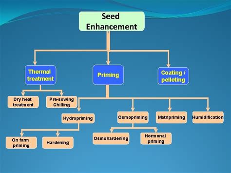 Seed Enhancementdefinition Seed Invigoration Or Seed Enhancements Are