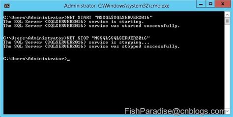 SQL Server启动的几种方法 FishParadise 博客园