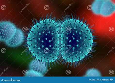 Bacteria Gonococcus Or Meningococcus Stock Illustration 79927192