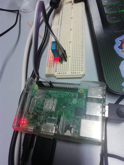 Github Kayoumdjedidi Rpi Iot Plwha Assistance Hub