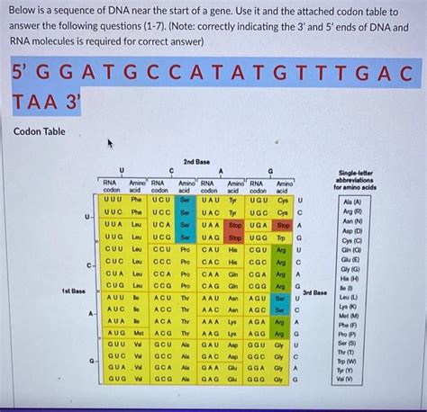 Solved Is This A Template Or Coding Strand What Is The Chegg