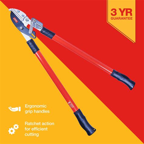 Amtech U2870 Heavy Duty Ratchet Lopper Amtech Diy