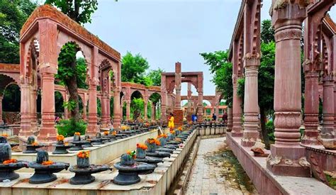 Shivpuri Dham Kota Famous Temple For 525 Shivlings