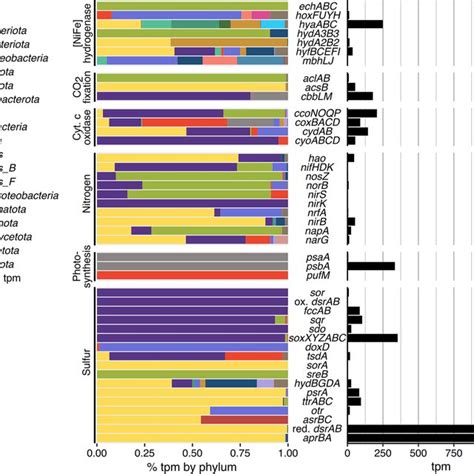metabolic gene relative transcript abundance and distribution of