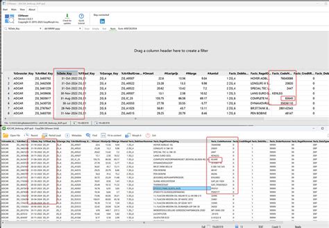 Difference Qviewer And Csviewer Easymorph Community Data Preparation Professionals And Enthusiasts