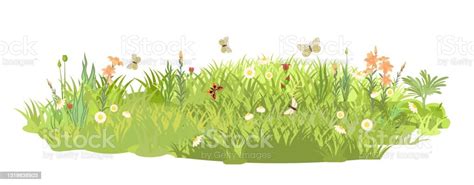 꽃이 있는 조밀한 여름 초원 나비 잔디 잔디 녹색 덤불 잔디 지역 운동장 장소 아름다운 풍경 흰색 배경에 격리 플랫 스타일 만화 디자인 벡터 곤충에 대한 스톡 벡터 아트 및