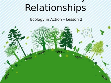 Predator Prey Relationships Ecology Lesson 2 Gcse Aqa 9 1 Science Biology Teaching Resources