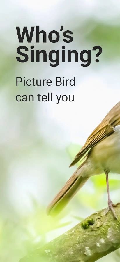 15 best free birding apps in 2025 for android and ios freeappsforme