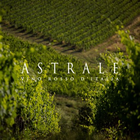 Piccini 1882 Tenute Piccini Spa