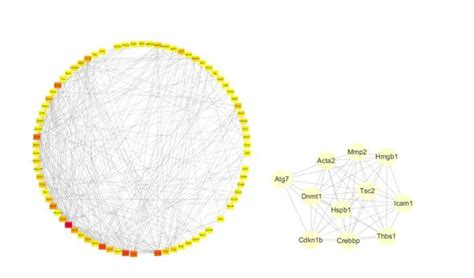 82 proteins with score above 0 6 for k core analysis on the right is