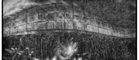 Sampler An Exhibition Of Photographs By Rita Dibert Whangarei