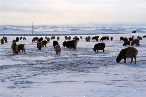 Төв аймаг Сэргэлэн сумын нутаг Төв аймаг Сэргэлэн сум Flickr