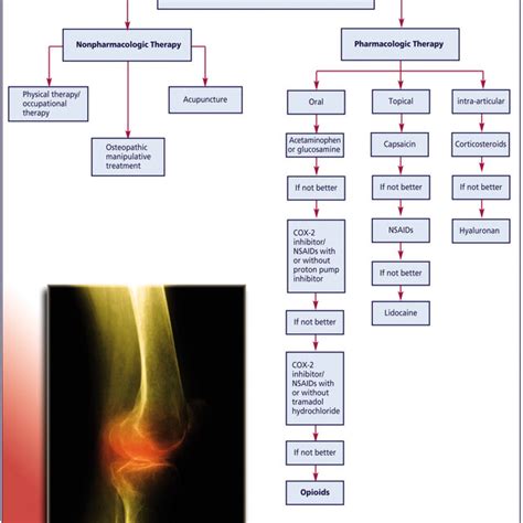Algorithm For Managing Osteoarthritic Knee Pain Cox 2 Indicates
