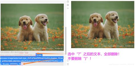 Csdn写博客 去除 图片水印【markdown编辑器、富文本编辑器】【修改图片大小】csdn Markdown怎么去掉图片水印 Csdn博客