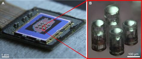 This Cmos Sensor With 3d Printed Microlenses Is Designed To Mimic Predator Vision Digital