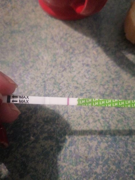 Create Meme Ovulation Test The Ovulation Test Is Positive Test