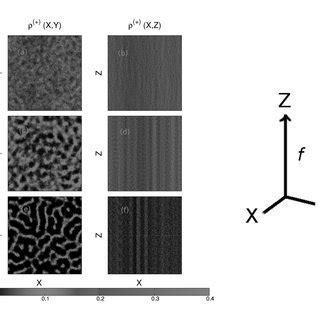 Density Plots a ρ X Y and b ρ X Z for f c ρ X Download Scientific