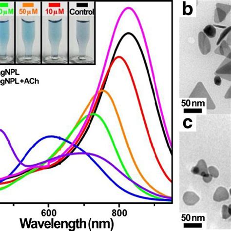 A The Uv Vis Spectra Of Silver Nanoplates Agnpls Incubated With The Download Scientific