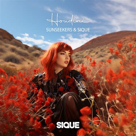 Houdini Youtube Music