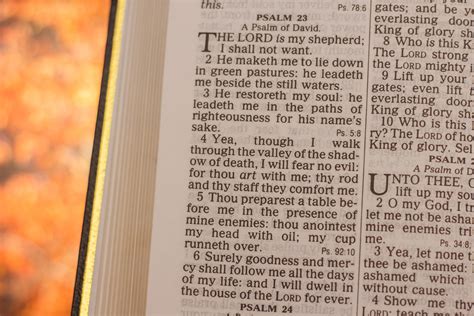 Java Bible Reader Wi Photos Free Download Borrow And Streaming