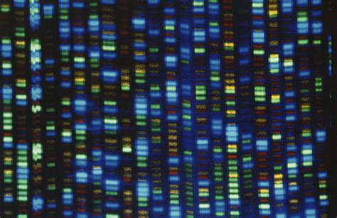 Localizing Next Generation Sequencing Testing For Cancer Patients