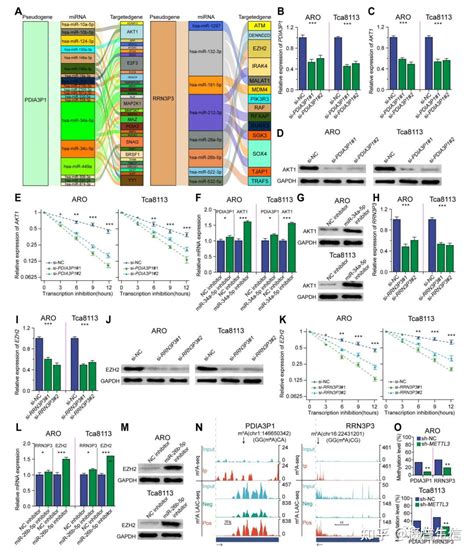 生信分析如何发高分双热点联合教程来啦 知乎