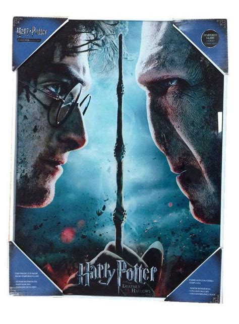 Harry Potter Harry And Voldemort Glass Poster 30 X 40cm Merchoid