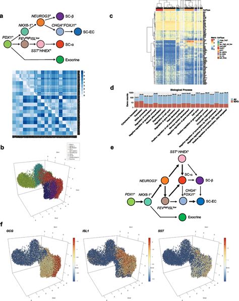 Application Of Espresso To Detect Temporal Discriminator Genes Tdgs