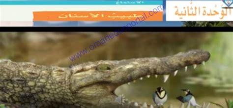 شرح درس طبيب الأسنان في اللغة العربية للصف السابع الفصل الاول