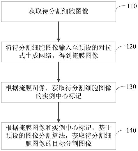cell image segmentation method and device electronic equipment and